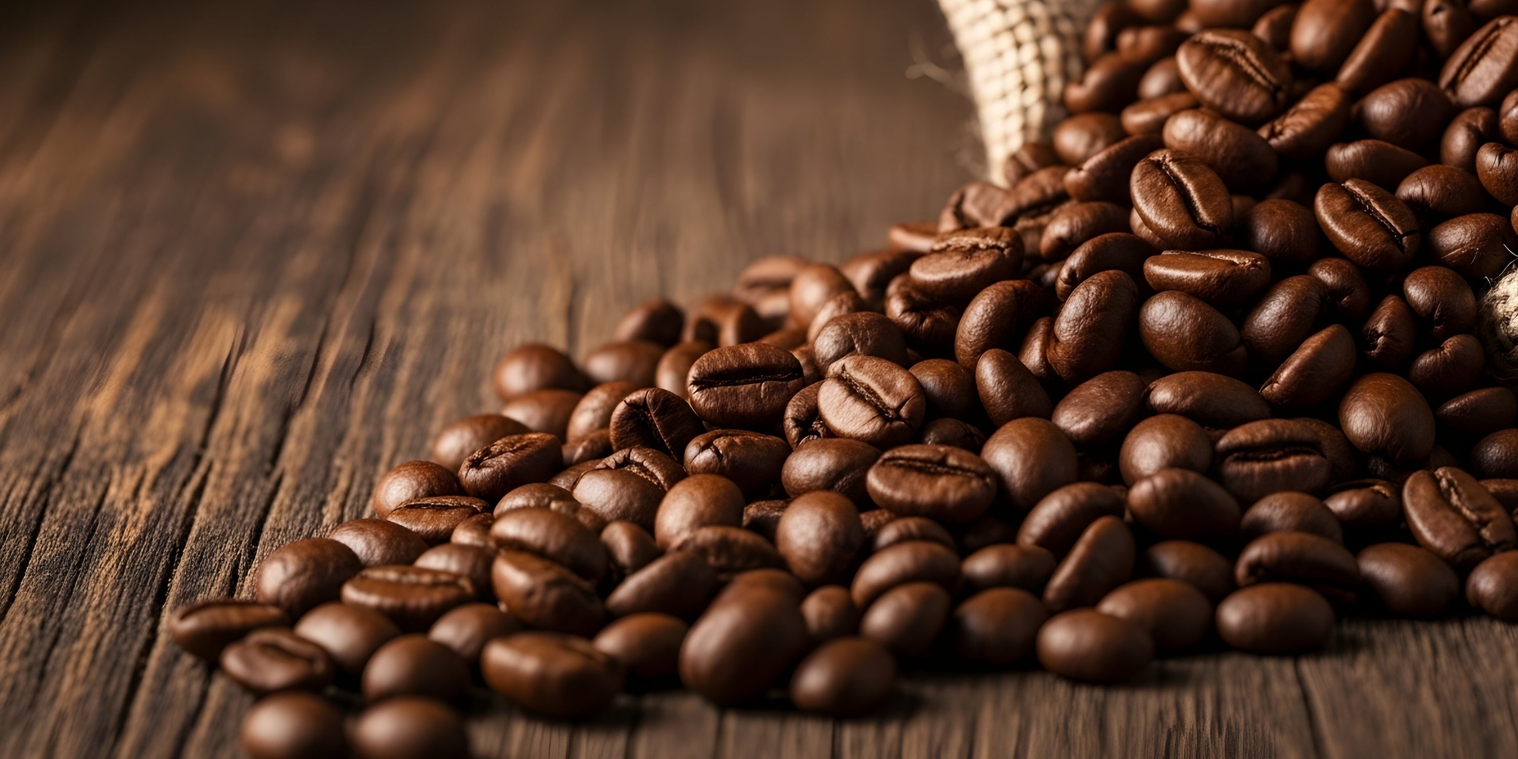 Celtic Demon Coffee I Dark Roast, Gourmet Coffee Online